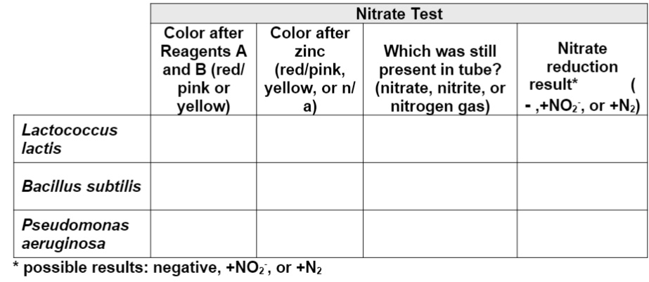 SOLVED: Nitrate Test Color after Color after Reagents A zinc Which was ...