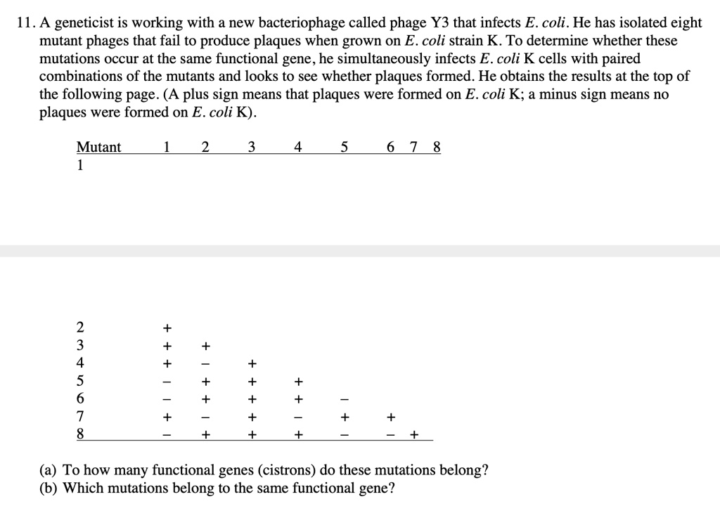 SOLVED: 11.A geneticist is working with a new bacteriophage called ...
