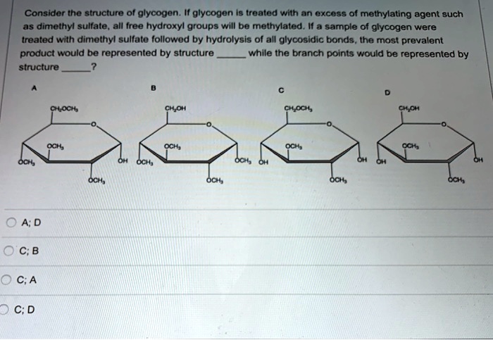 SOLVED: Consider the structure of glycogen. If glycogen Is trealed with ...