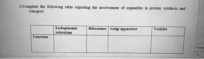 SOLVED: Text: Complete the following table regarding the involvement of organelles in protein ...