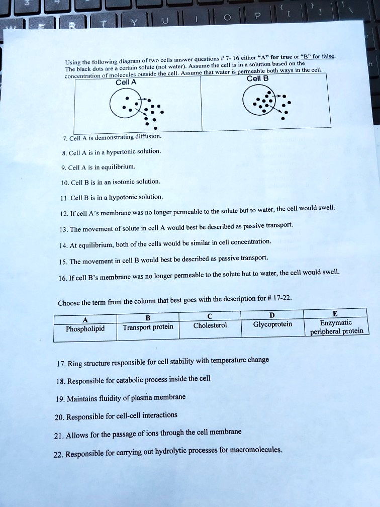 SOLVED: questions # Z- either #A" for true or R" [orfalsc, Using the ...