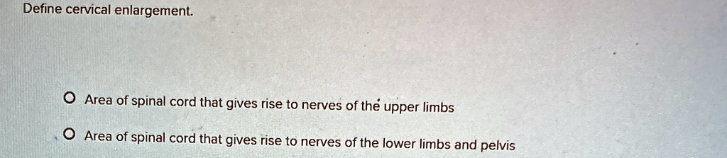 Define cervical enlargement. O Area of spinal cord that gives rise to ...