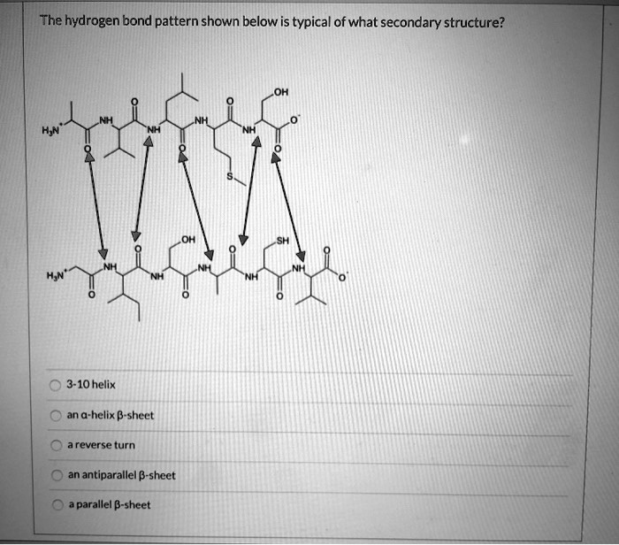 SOLVED: The hydrogen bond pattern shown below is typical of what ...