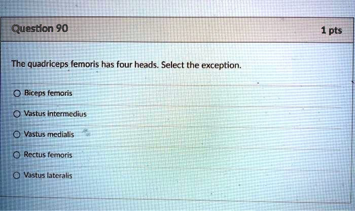 SOLVED: Question 90 1pts The quadriceps femoris has four heads.Select ... SOLVED: Question 90 1pts The quadriceps femoris has four heads.Select ...