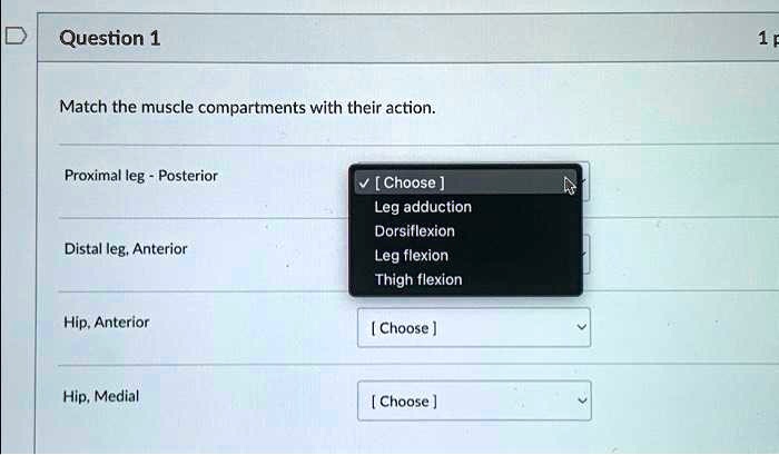 Question 1 Match the muscle compartments with their action. Proximal ...