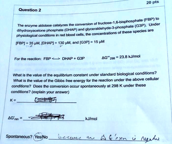 SOLVED: (FBP) = 6-bisphosphate. The enzyme aldolase catalyzes the ...