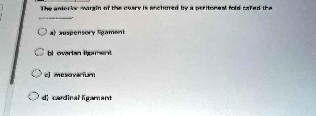The anterior margin of the ovary is anchored by a peritoneal fold ...