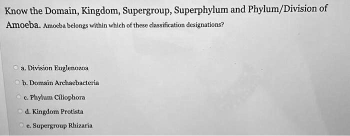 SOLVED: Know the Domain, Kingdom, Supergroup, Superphylum and Phylum ...