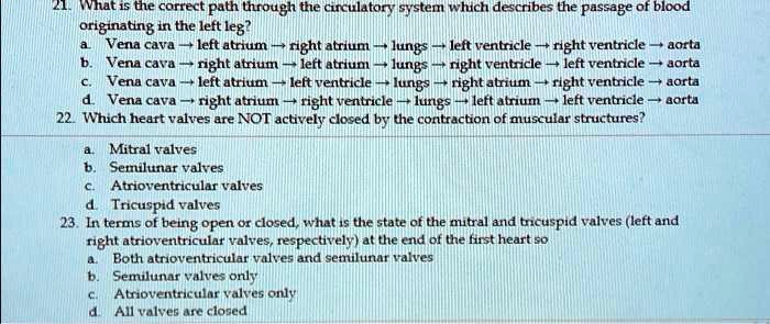 SOLVED: Originate in the left leg? Alvein cava, left atrium, right ...