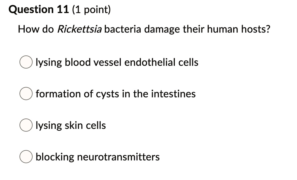 SOLVED: Question 11 (1 point) How do Rickettsia bacteria damage their ...