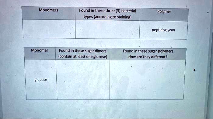 SOLVED: Monomer; Found In these three (3) bacterial types (according to ...