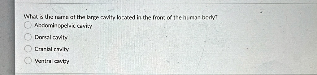What is the name of the large cavity located in the front of the human ...