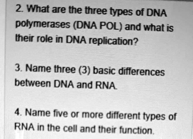 SOLVED: 2 What are the three types of DNA polymerases (DNA POL) and ...