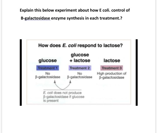 SOLVED: Explain the experiment below about how E. coli controls B ...