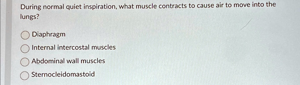 During normal quiet inspiration, what muscle contracts to cause air to ...