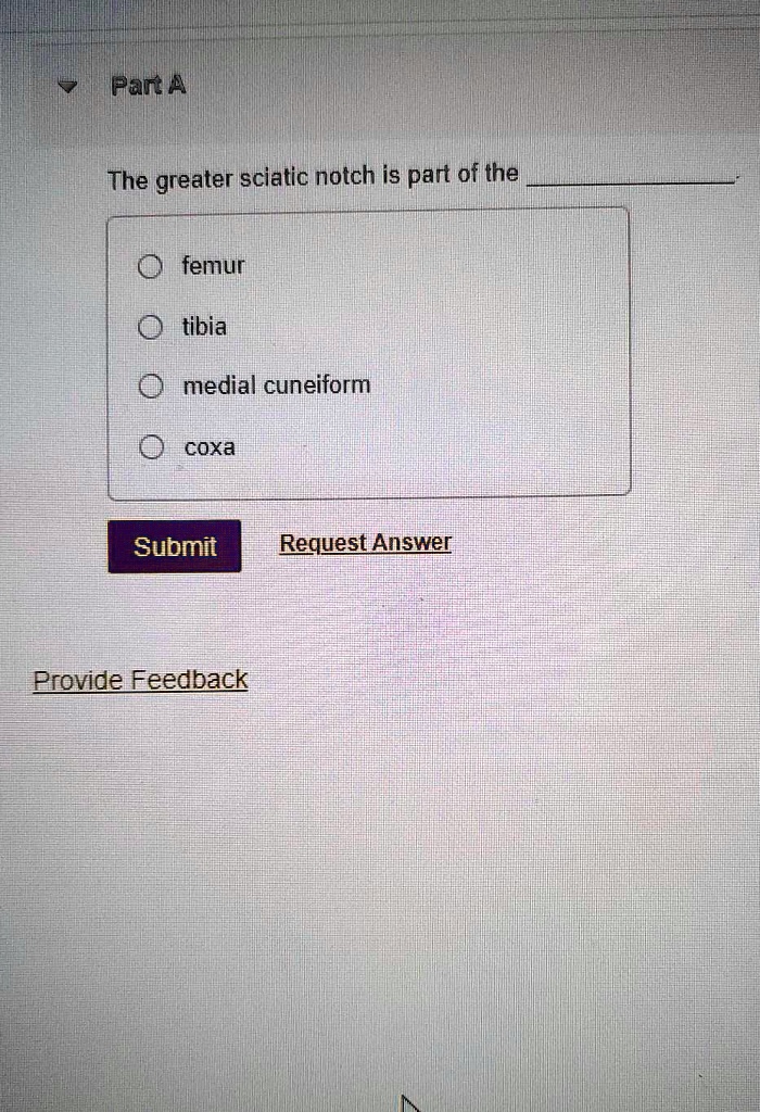 SOLVED: The greater sciatic notch is part of the coxa.