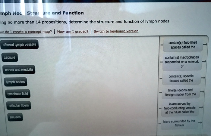 mph Noc Structure and Function Ling no more than 14 propositions, determine the structure and ...