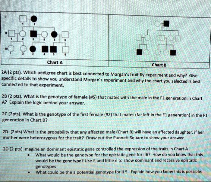Pedigree Chart Chart A Chart B 2A (2 pts). Which pedigree chart is best ...