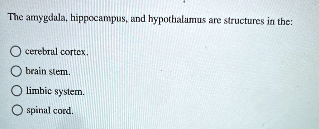 The amygdala, hippocampus, and hypothalamus are structures in the ...