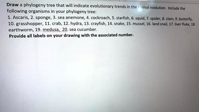 Draw a phylogenetic tree that will indicate evolutionary trends in ...