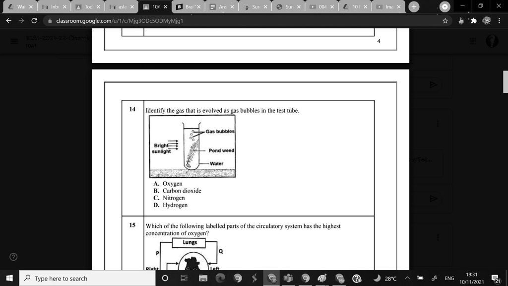 [GET ANSWER] 14 Identify the gas that is evolved as gas bubbles in the ...
