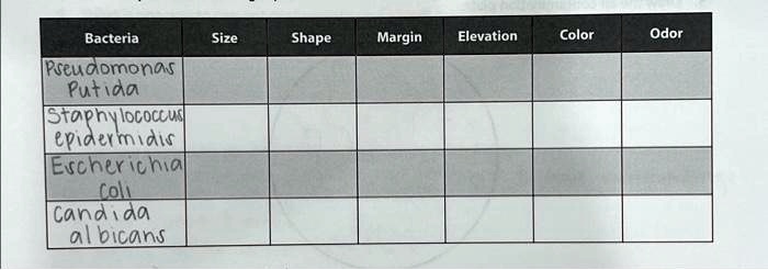 Solved Please Help Bacteria Size Shape Margin Elevation Color Or