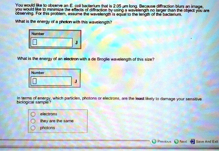 You would like to observe an E. coli bacterium that is 2.05...