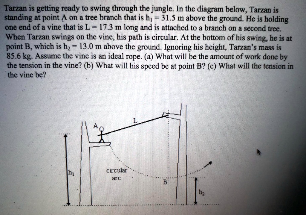 tarzan is getting ready t0 swing through the jungle in the diagram ...