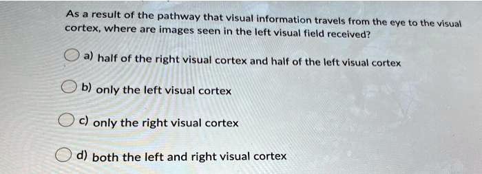 As a result of the pathway that visual information travels from the eye ...