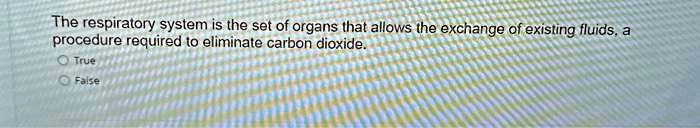 SOLVED: Text: The respiratory system is the set of organs that allows ...