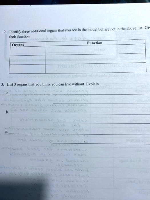 SOLVED: Identify three additional organs that you see in the model but ...