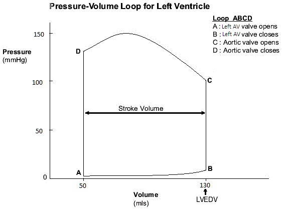 Pressure-Volume Loop for Left Ventricle Pressure (mmHg) 150 100 50 0 50 ...