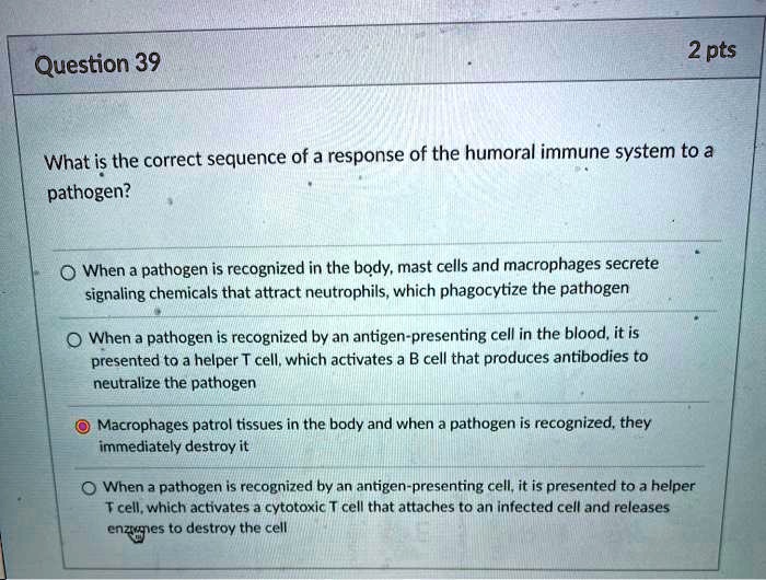 2 pts question 39 what is the correct sequence of a response of the humoral immune system to a ...
