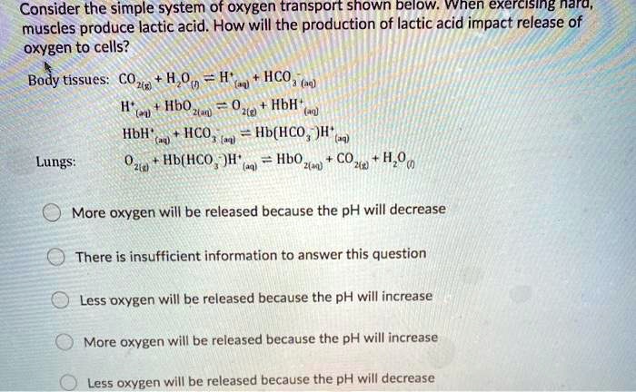 SOLVED:Consider the simple system of oxygen transport shown below ...