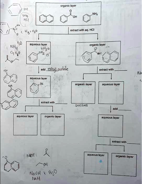 SOLVED: Complete acid-base extraction to separate the 3 organic ...