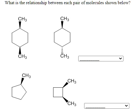SOLVED: What is the relationship between each pair of molecules shown below? CH3 CH3 CHa CH3 CH ...