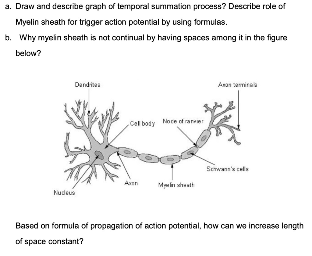 SOLVED: a. Draw and describe graph of temporal summation process ...
