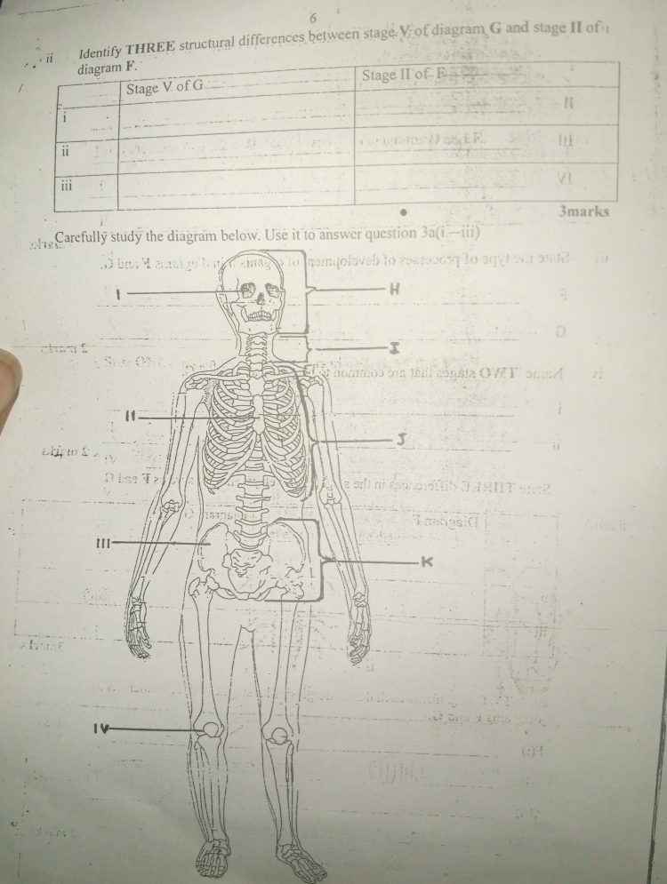 6 ii Identify THREE structural differences between stage Y; of diagram G and stage II of if ...