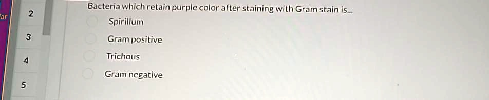 Bacteria which retain purple color after staining with Gram stain is ...