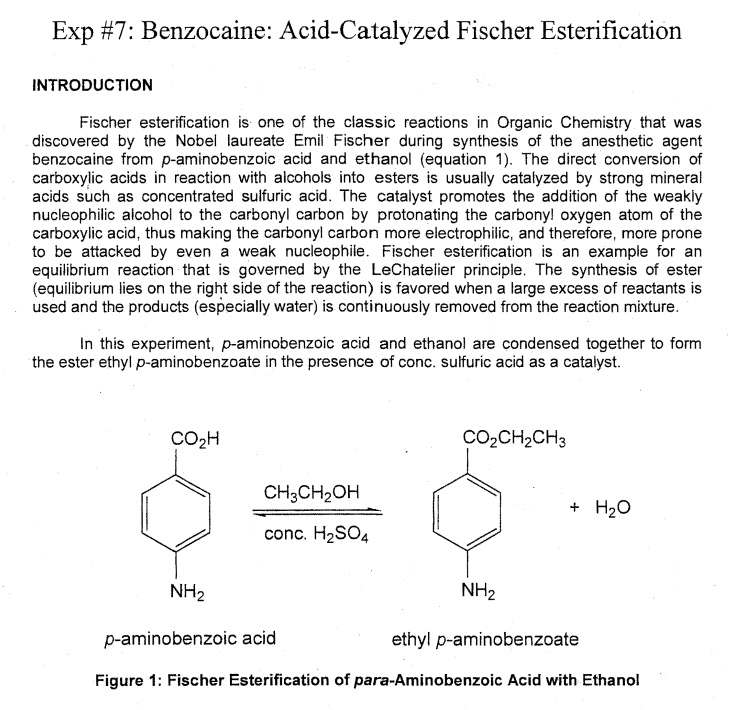 Exp #7: Benzocaine: Acid-Catalyzed Fischer Esterification INTRODUCTION ...