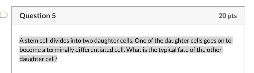 SOLVED: Question 5 20 pts A stem cell divides into two daughter cells ... SOLVED: Question 5 20 pts A stem cell divides into two daughter cells ...