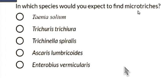 in which species would you expect to find microtriches taenia solium ...