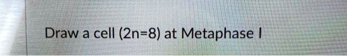 SOLVED: Draw a cell (2n-8) at metaphase.