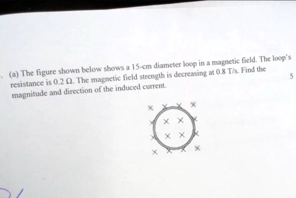 SOLVED: Magnetic field. The loop 1 cm diameter loop in (a) The figure shown below shows is ...