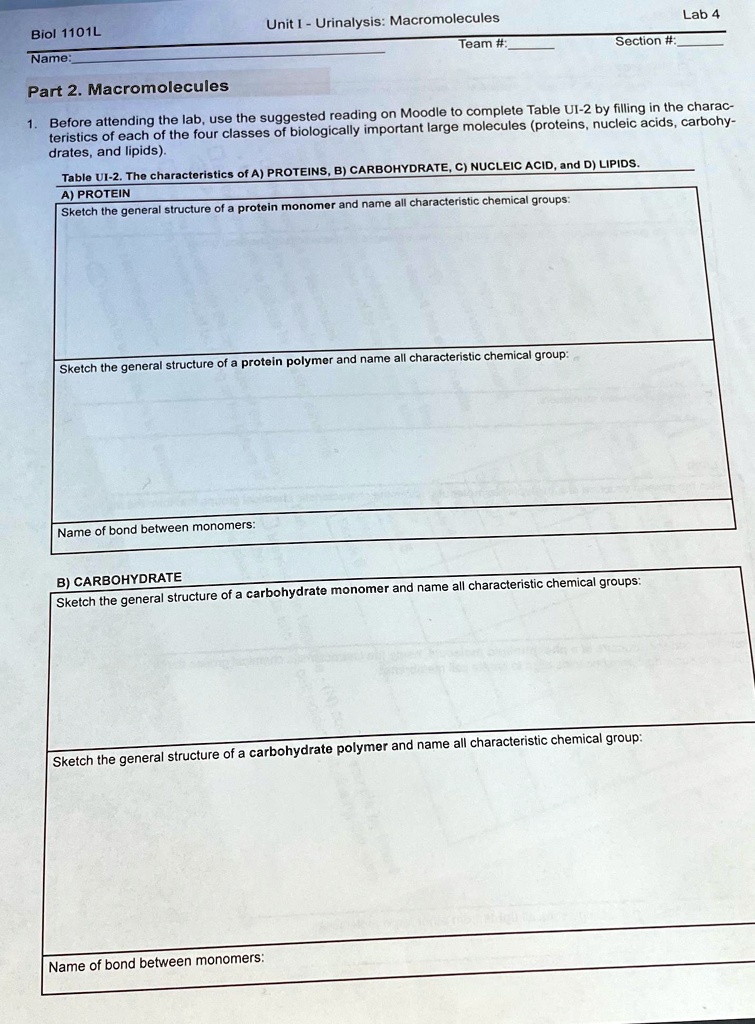 Biol 1101L Name: Part 2. Macromolecules Unit I - Urinalysis ...