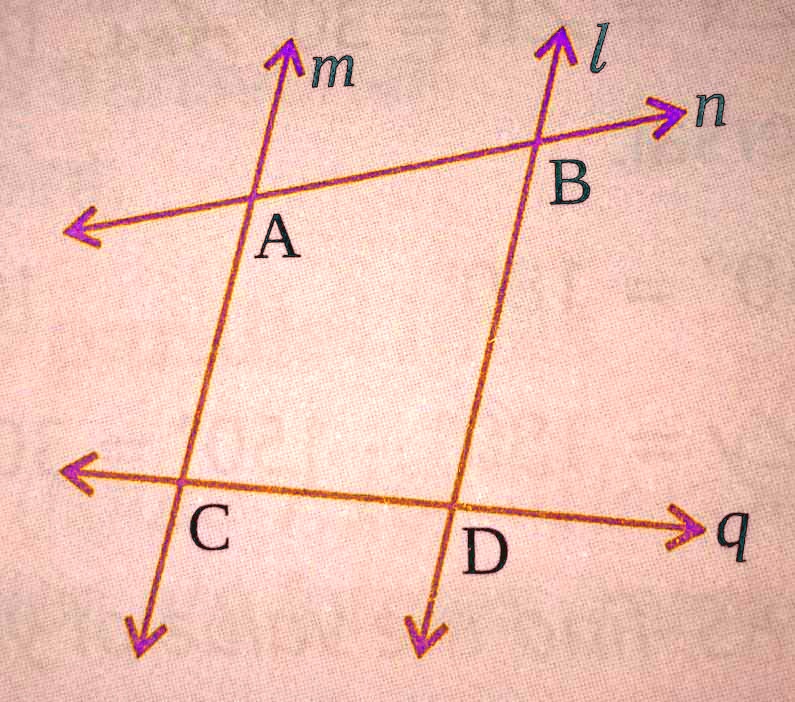 SOLVED: In the given figure, write the names of transversals. Also name the points of ...