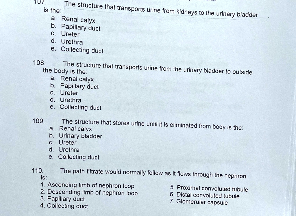 107. The structure that transports urine from kidneys to the urinary ...