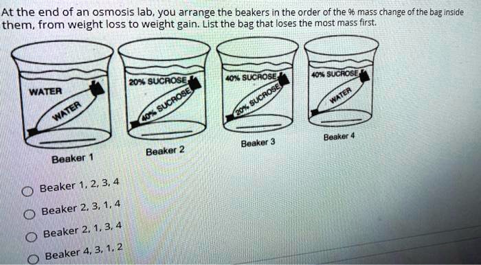 SOLVED: At the end of an osmosis lab, you arrange the beakers in the order of the % mass change ...