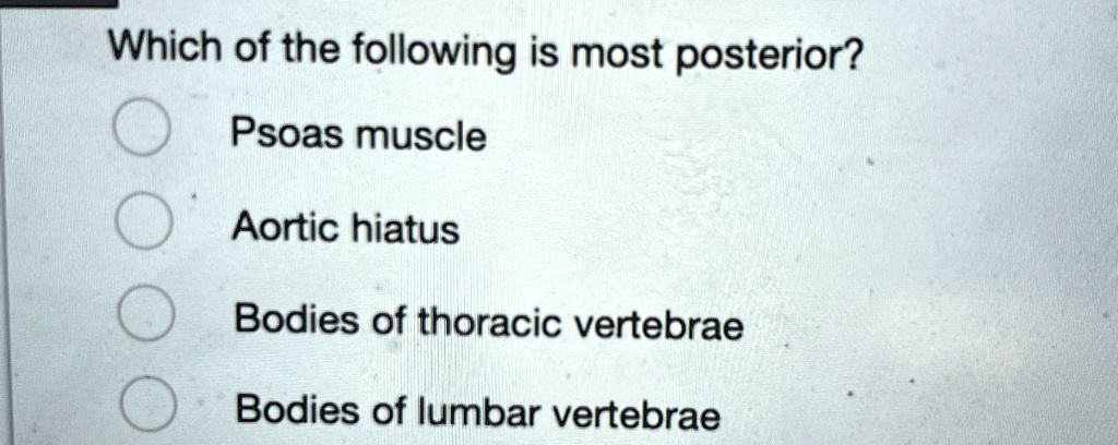Which of the following is most posterior? Psoas muscle Aortic hiatus ...