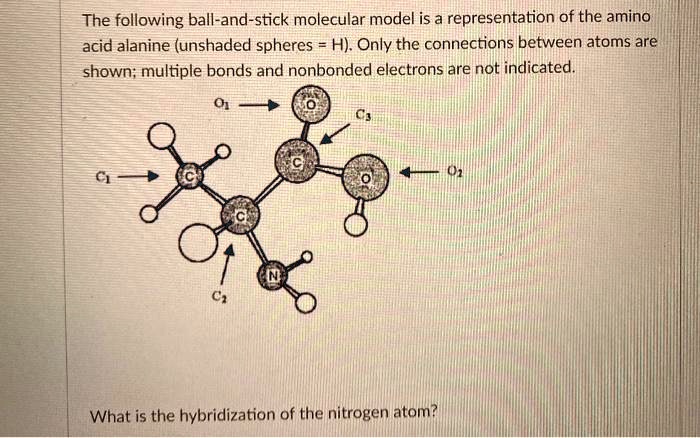 SOLVED: The following ball-and-stick molecular model is a ...